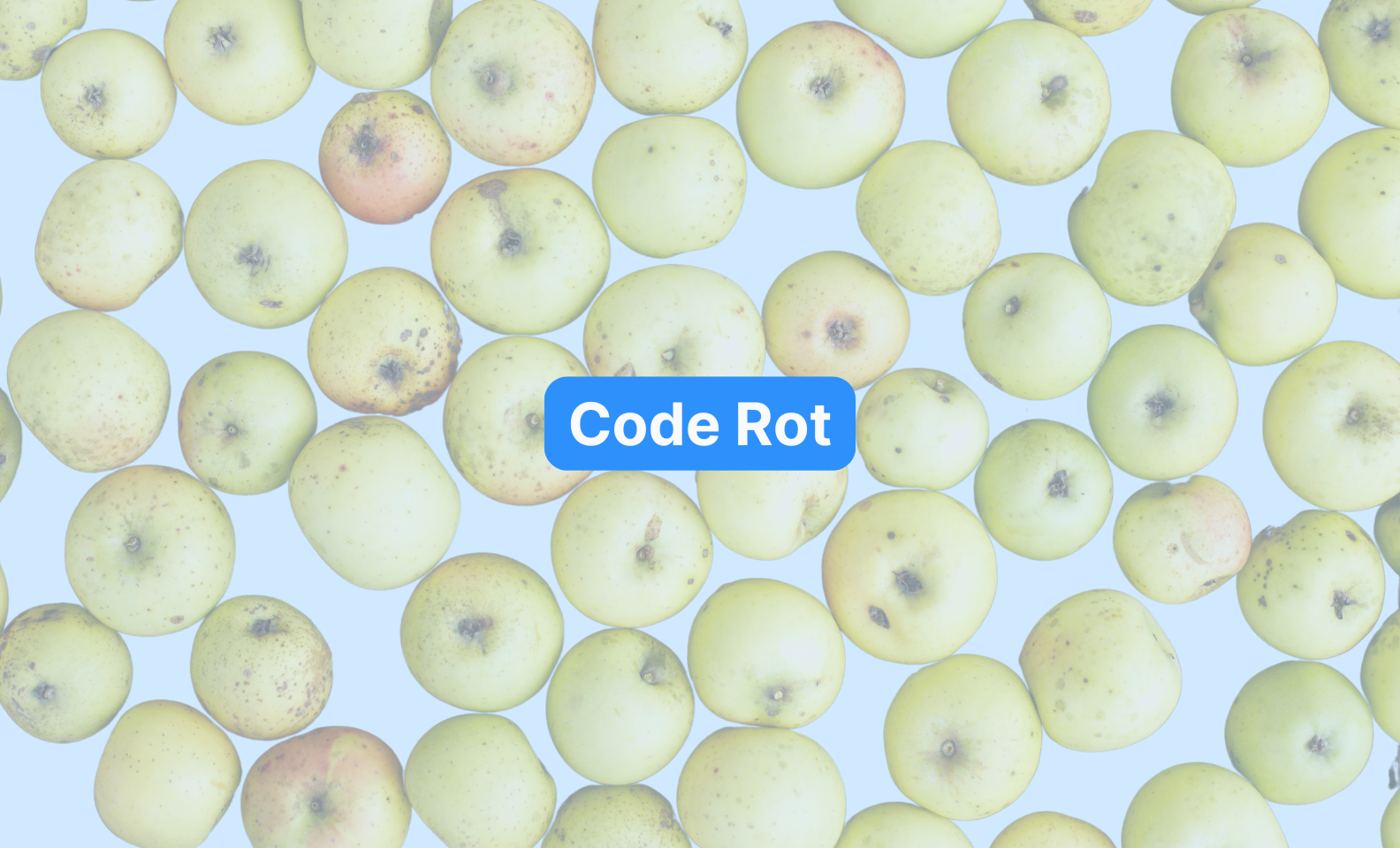 Avoid Code Rot: Best Practices to Keep Your Codebase Healthy